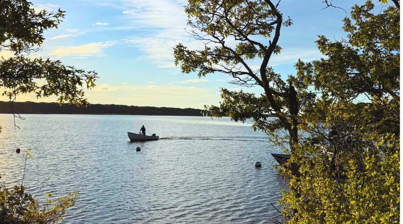 Great Pond Foundation » SUMMER SUMMARY