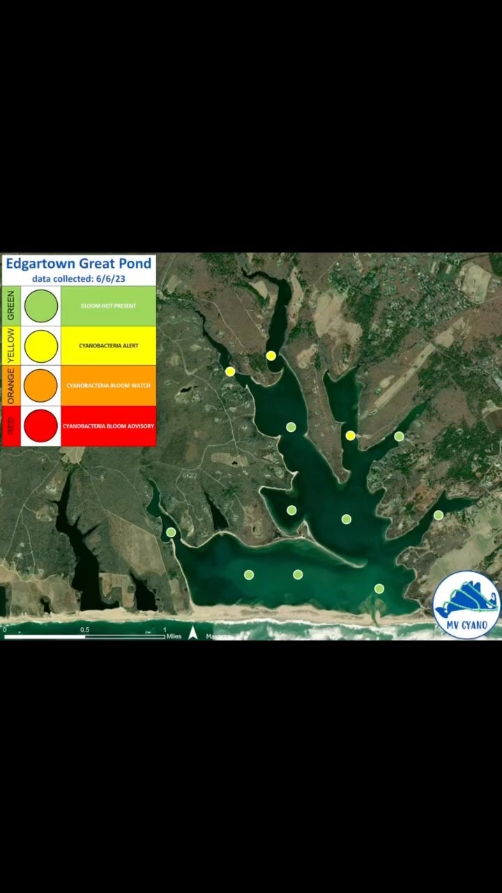 Great Pond Foundation | Preserving Coastal Ponds through Science ...
