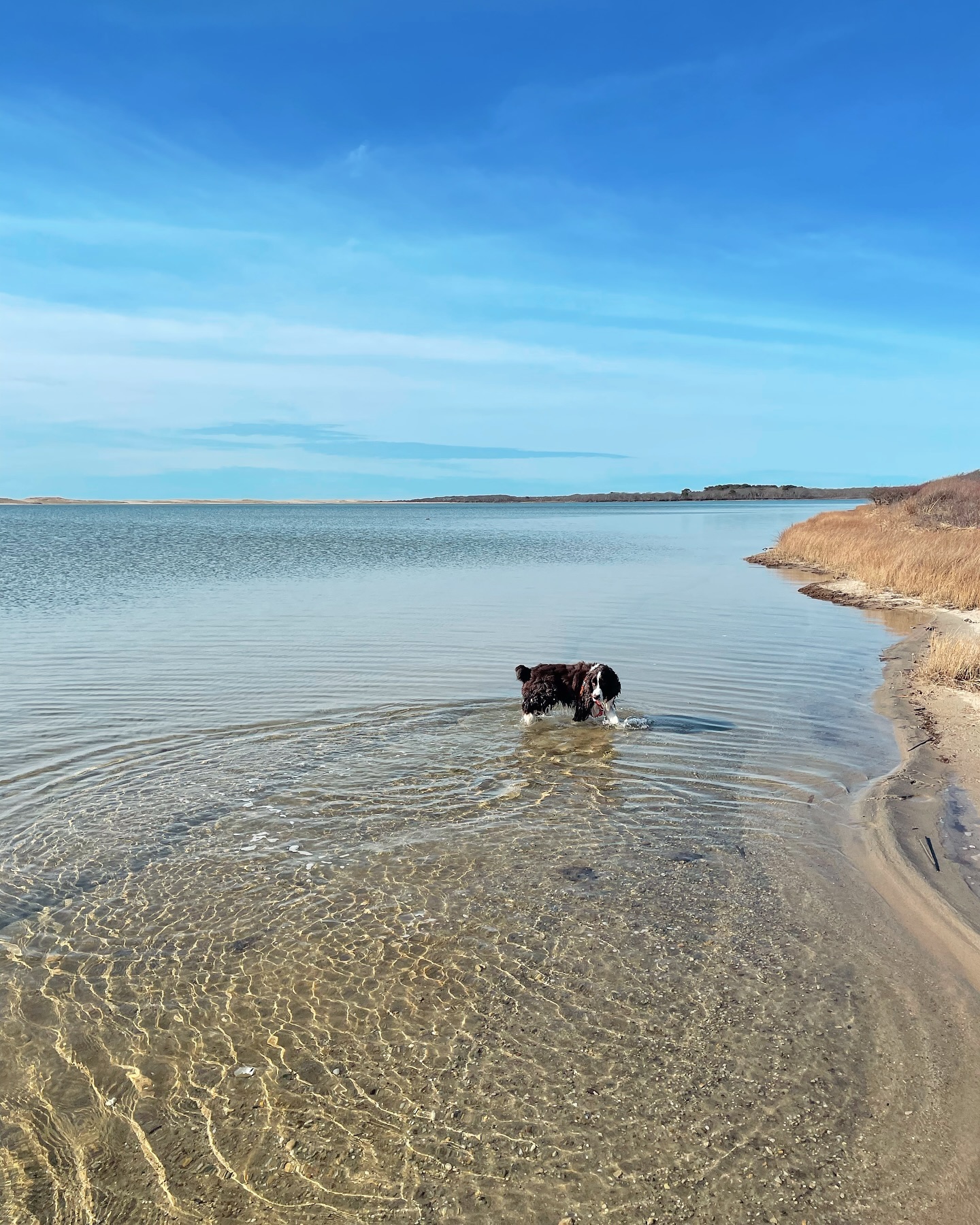 Great Pond Foundation | Preserving Coastal Ponds through Science ...