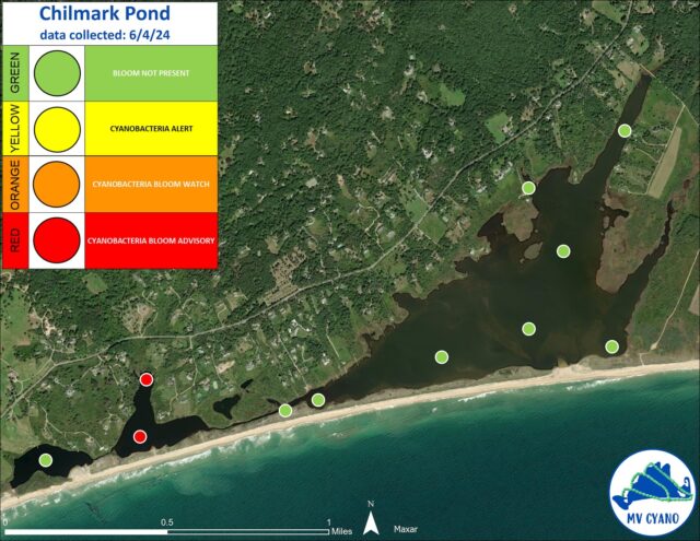 Great Pond Foundation | Preserving Coastal Ponds through Science ...