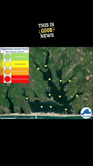 Great Pond Foundation | Preserving Coastal Ponds through Science ...