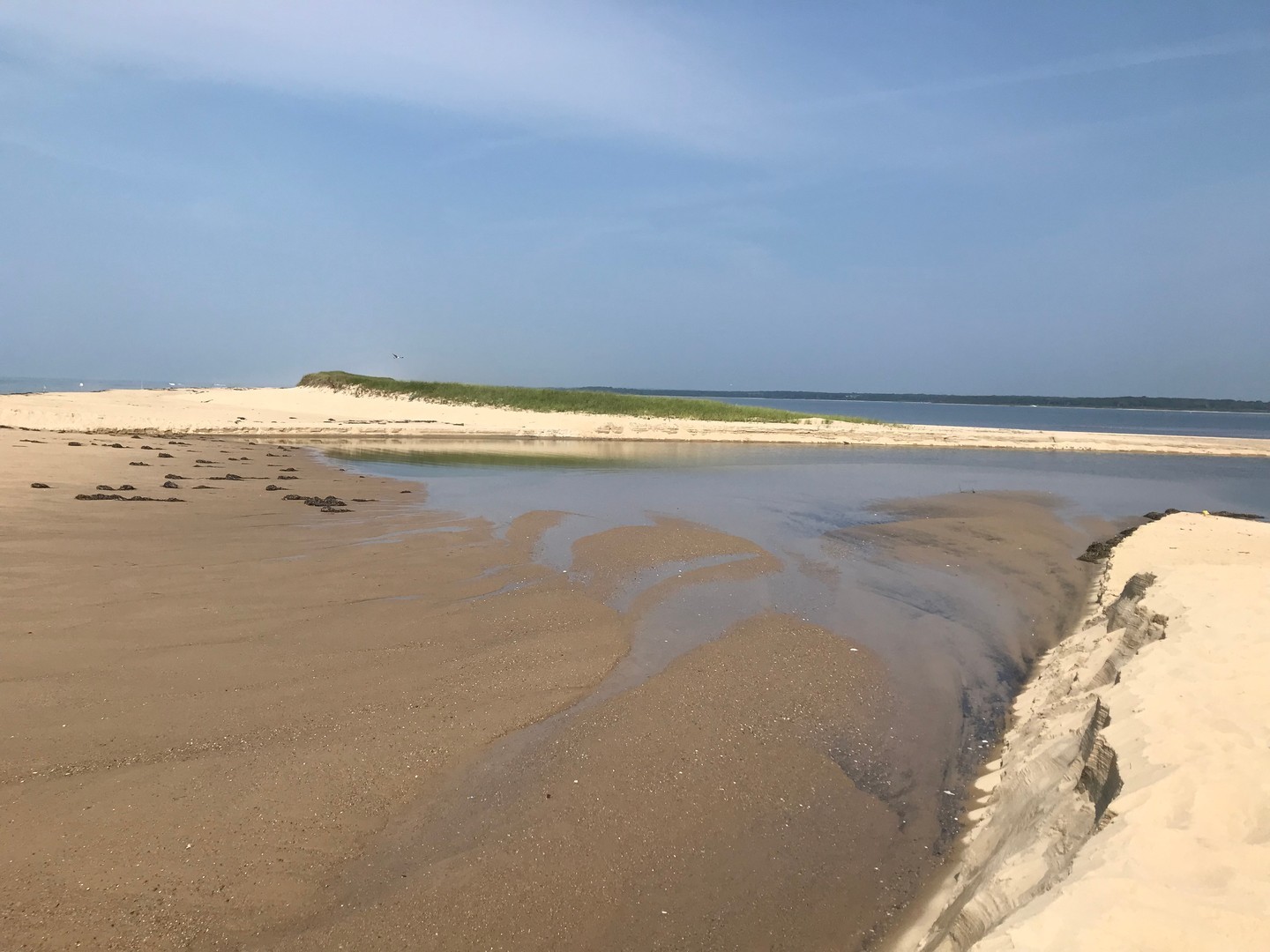 Great Pond Foundation | Preserving Coastal Ponds through Science ...