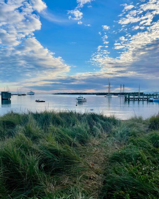 Great Pond Foundation | Preserving Coastal Ponds through Science ...