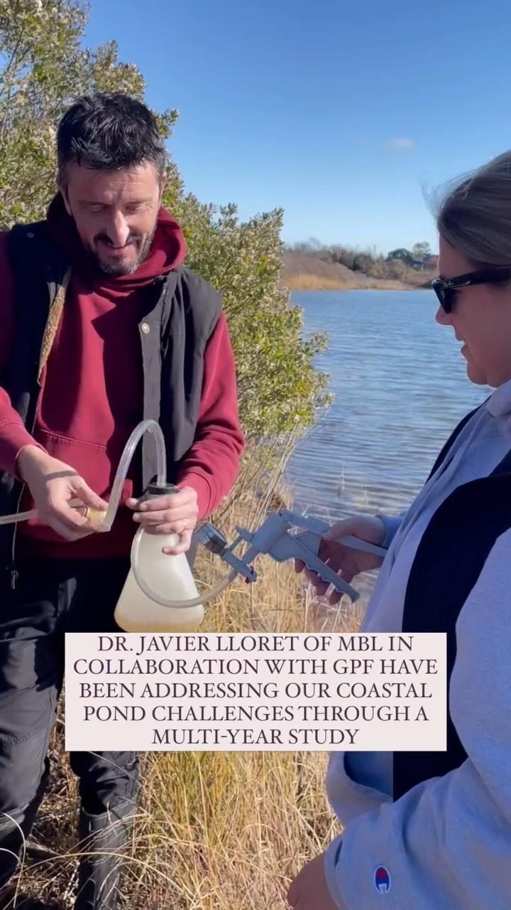 Great Pond Foundation | Preserving Coastal Ponds through Science ...