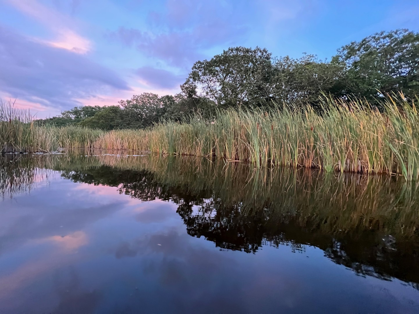 Great Pond Foundation | Preserving Coastal Ponds through Science ...