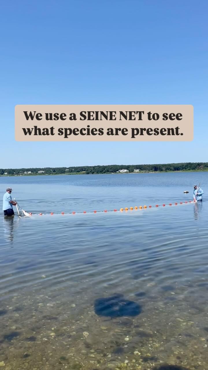 Great Pond Foundation » GPF’s Science Team