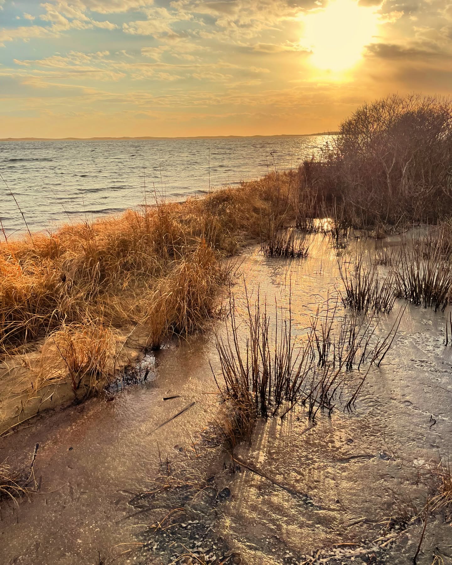 Great Pond Foundation » GPF’s Science Team