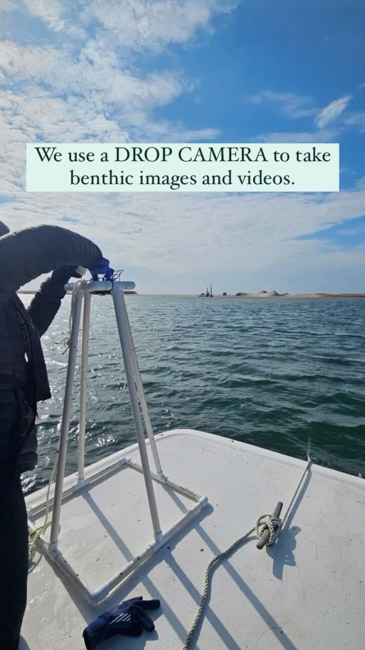 Great Pond Foundation » Discover The Pond