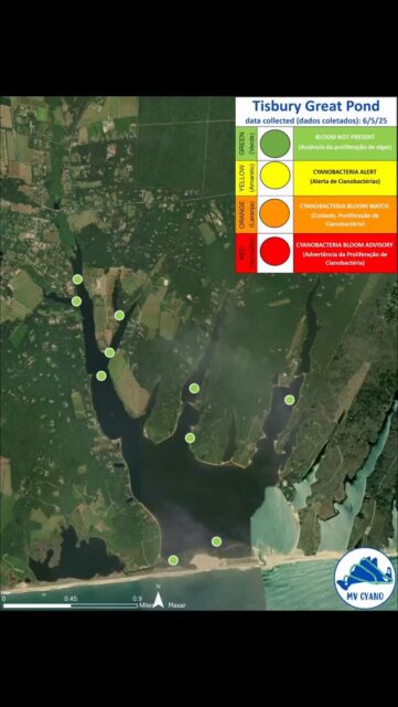 Great Pond Foundation | Preserving Coastal Ponds through Science ...