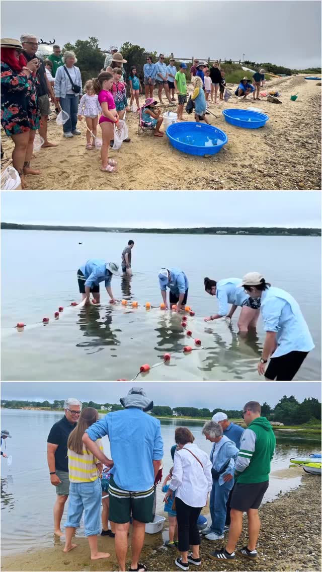 Great Pond Foundation » Financials