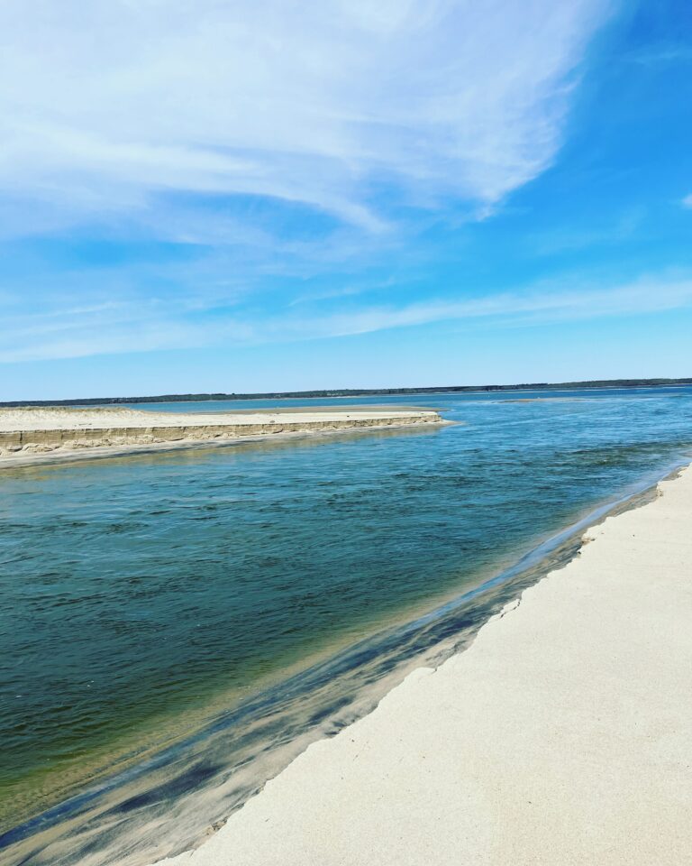 Great Pond Foundation | Preserving Coastal Ponds through Science ...