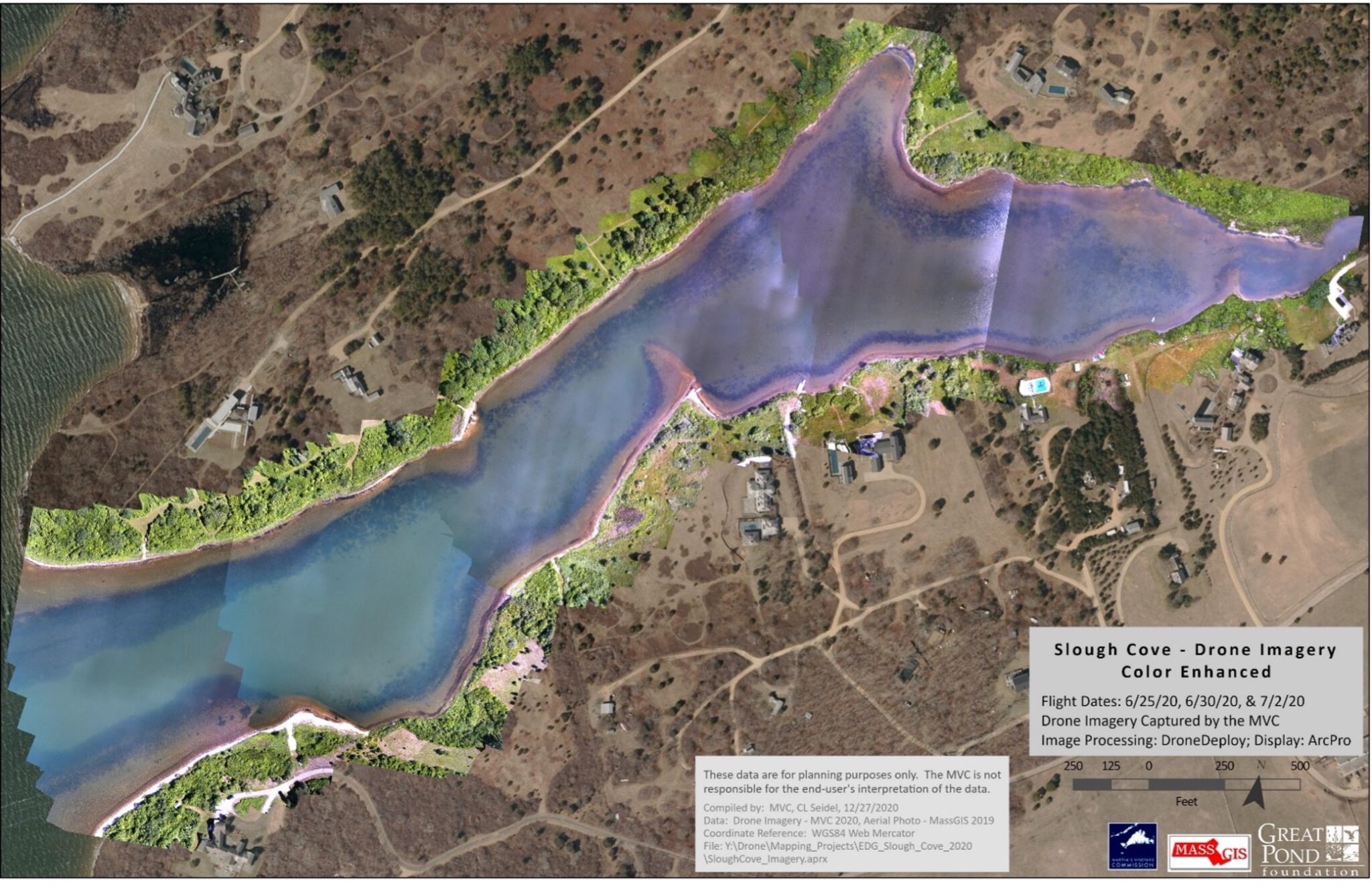 Great Pond Foundation » Eelgrass Ecosystems