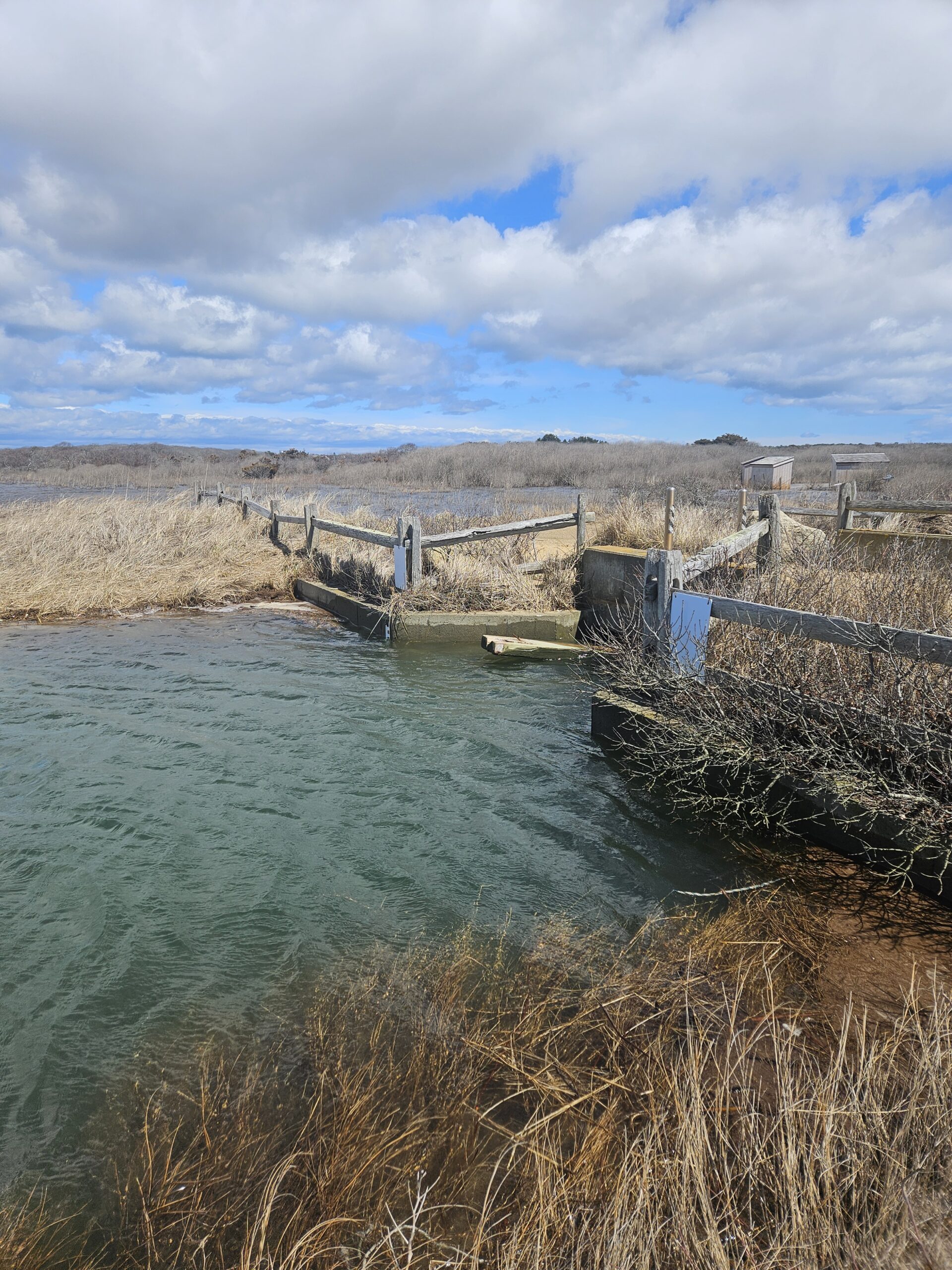 Great Pond Foundation » Spring Cut