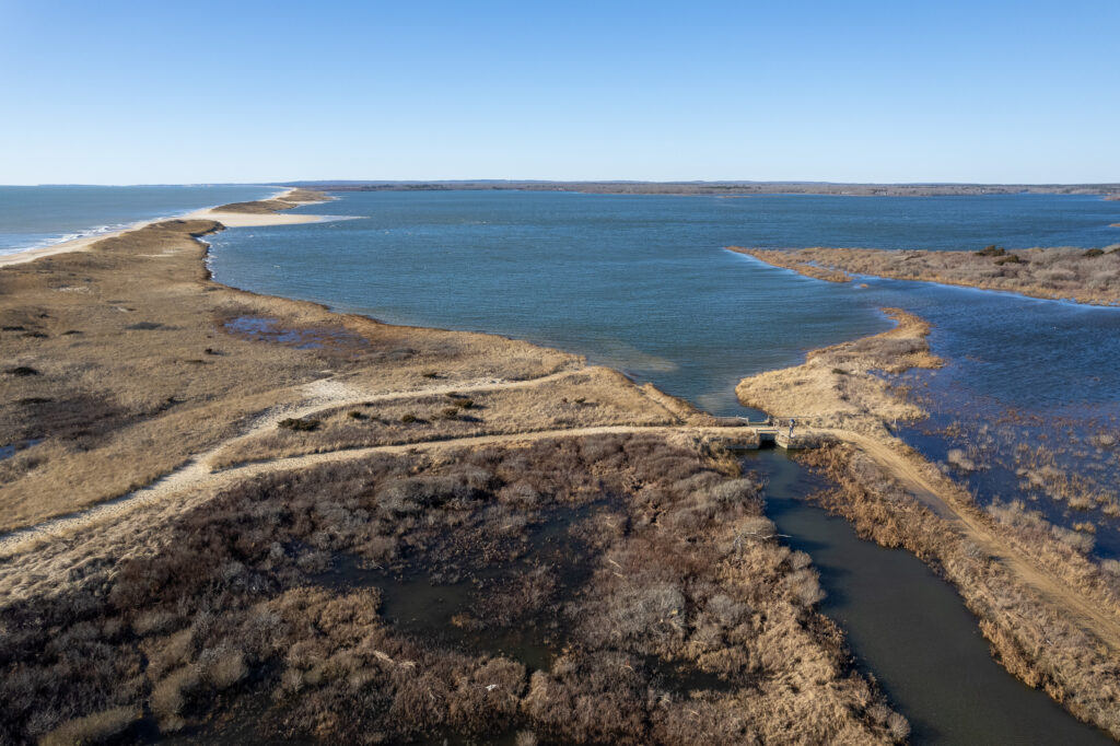 Great Pond Foundation | Preserving Coastal Ponds through Science ...