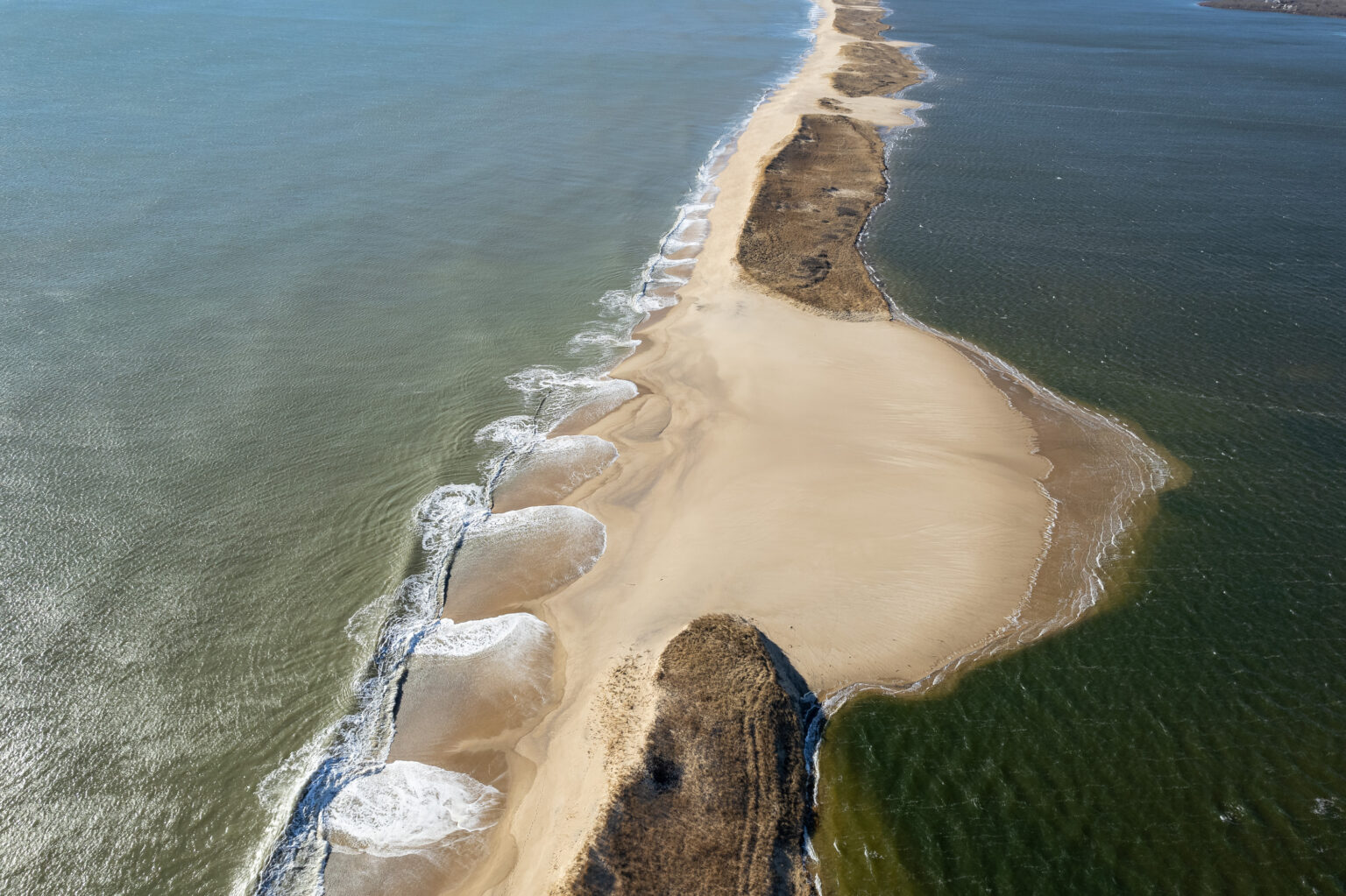 Great Pond Foundation | Preserving Coastal Ponds through Science ...