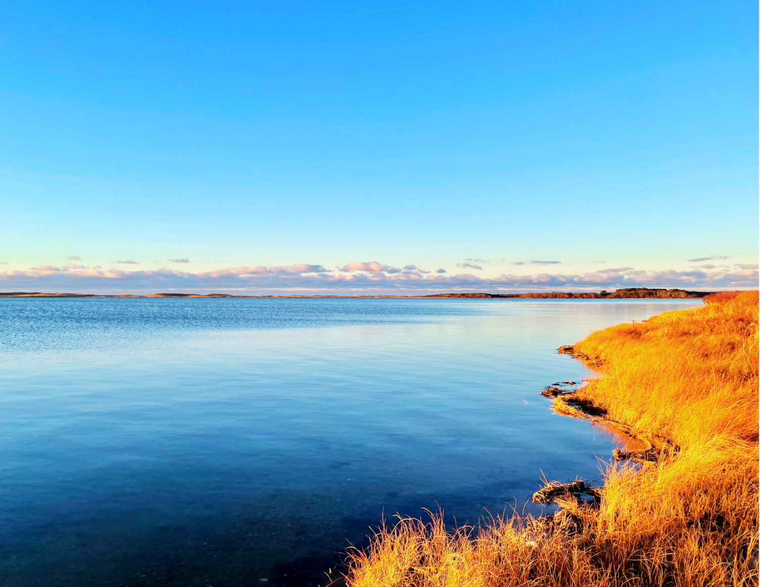 Great Pond Foundation » 2026 GPF Calendars