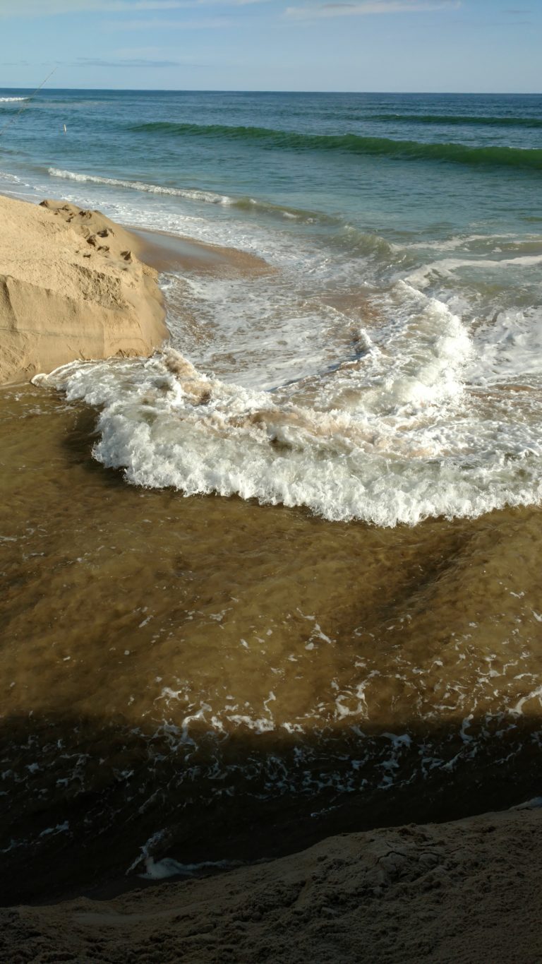 Great Pond Foundation » Pond Cut, 15 October 2016