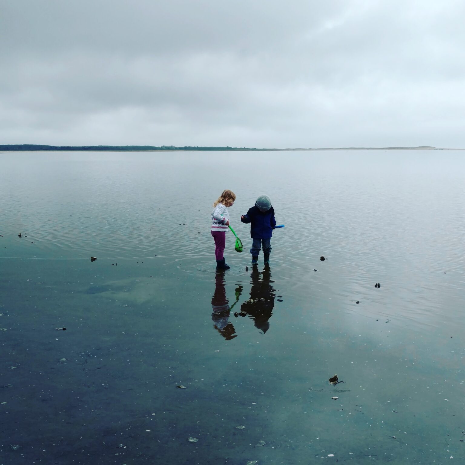 Great Pond Foundation » GPF Annual Report 2024