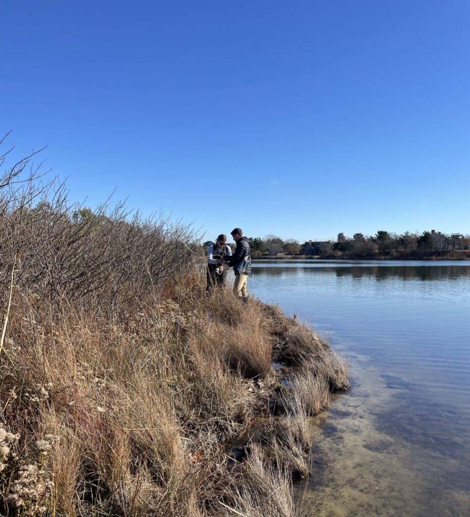 Great Pond Foundation | Preserving Coastal Ponds through Science ...