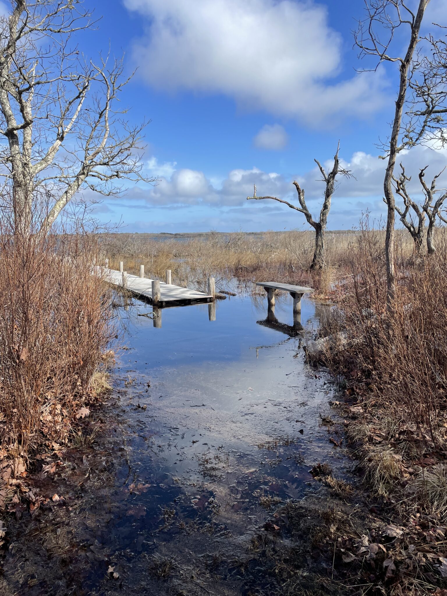 Great Pond Foundation » Cut Failure