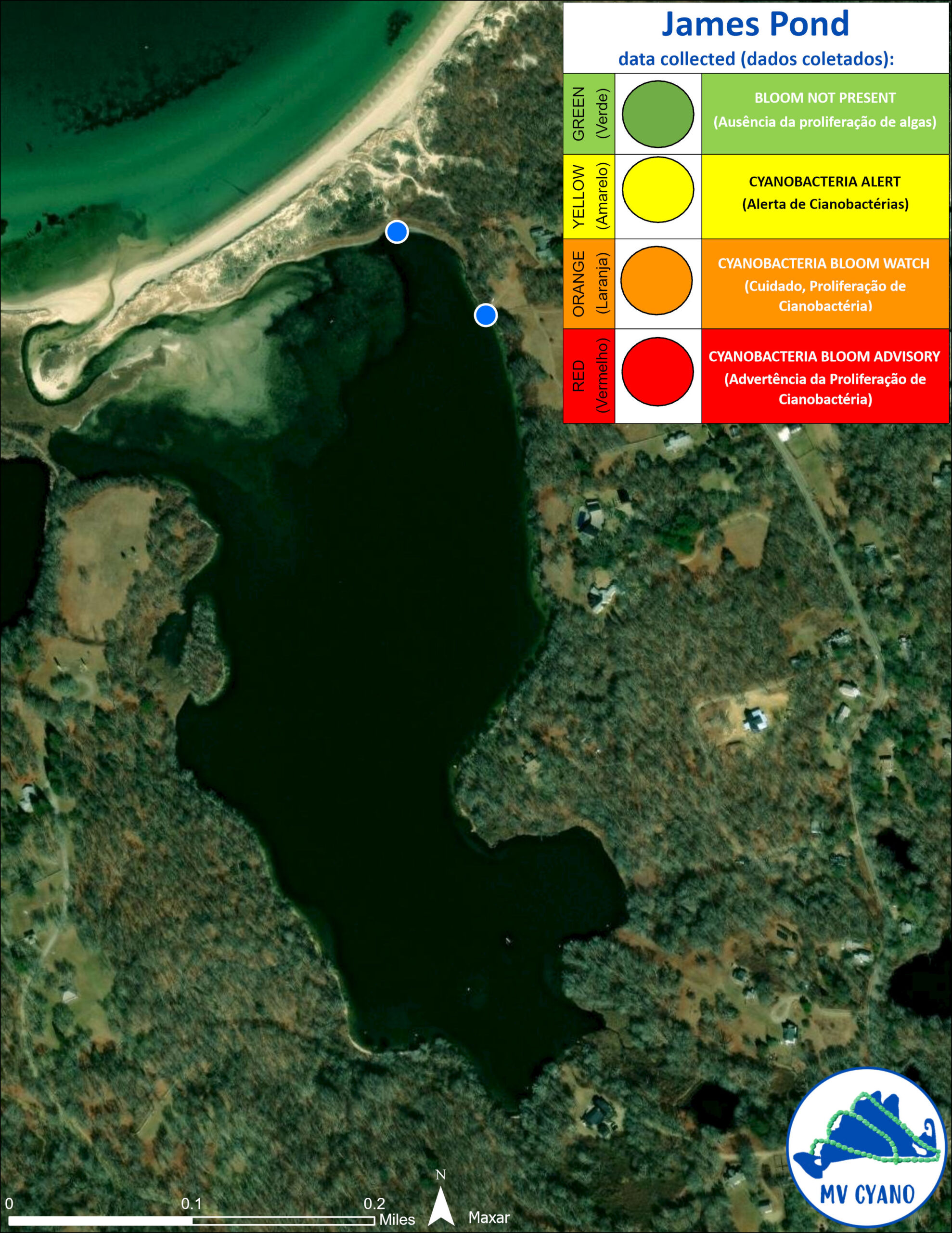 Great Pond Foundation » MV CYANO