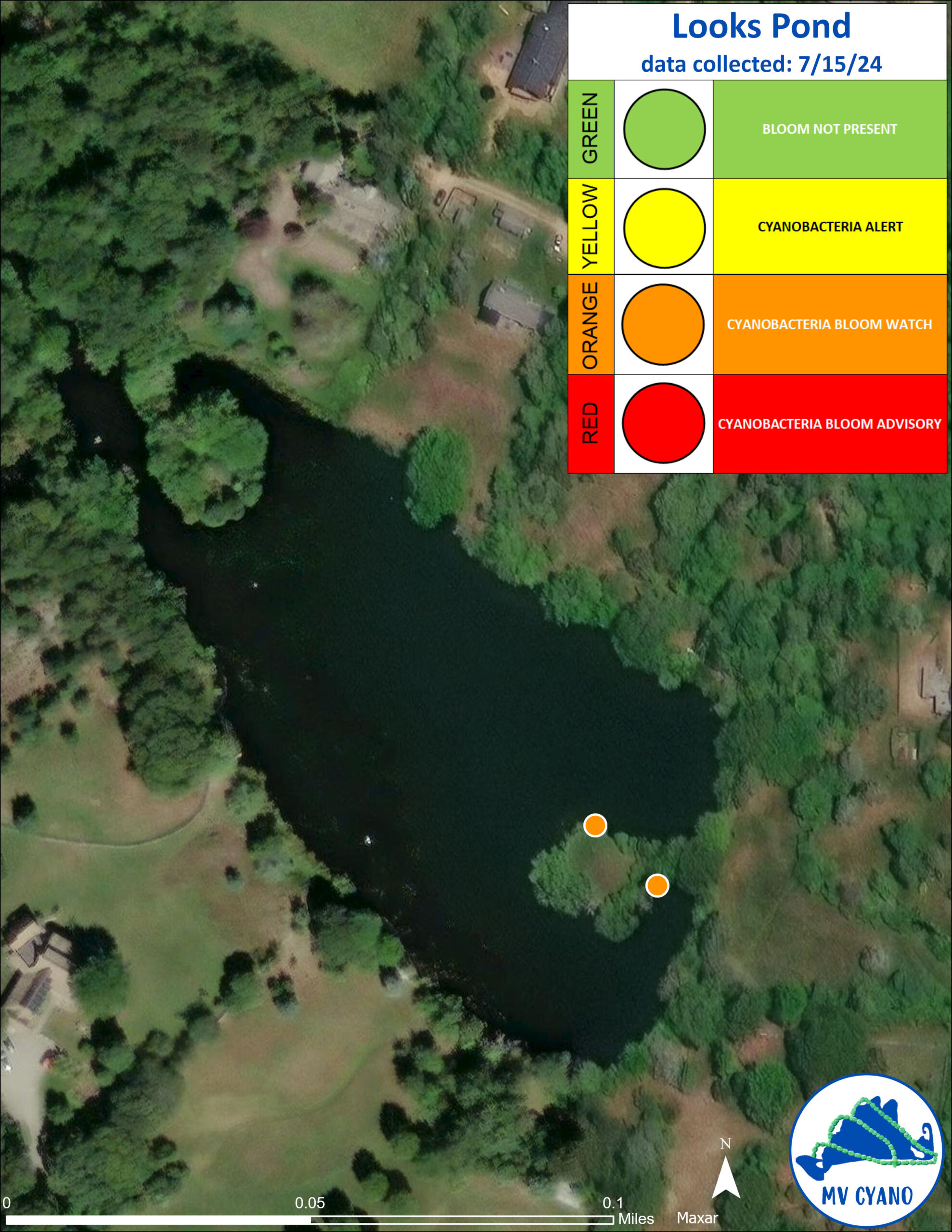 Great Pond Foundation » MV CYANO