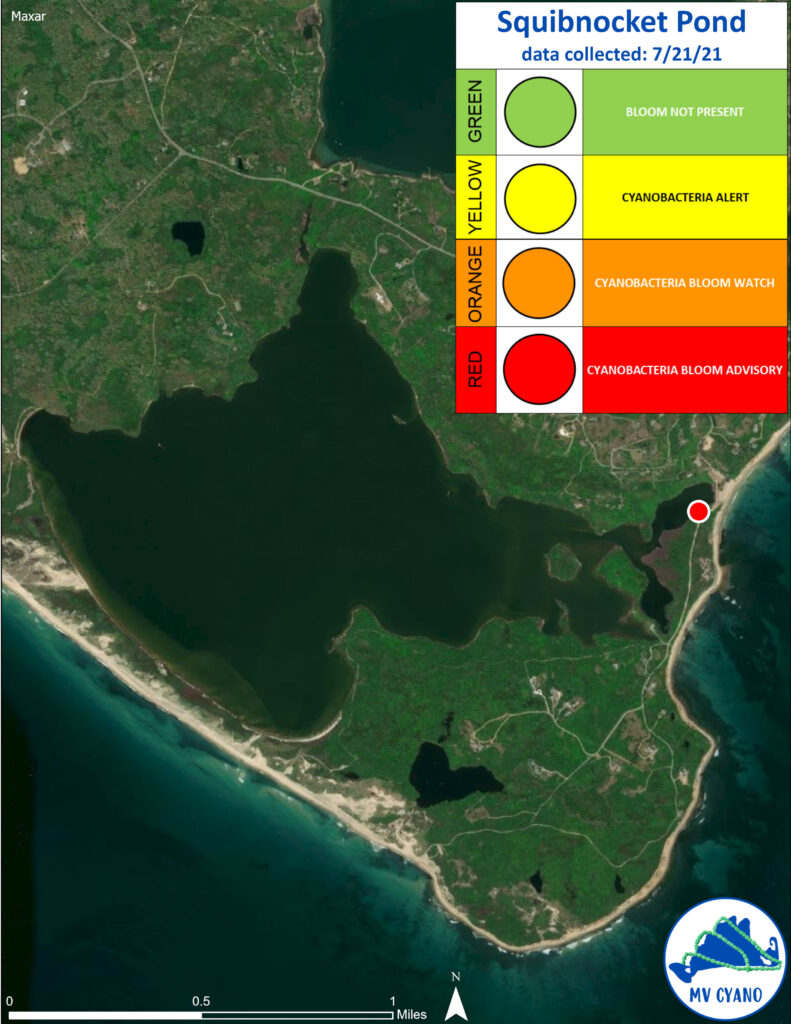 Great Pond Foundation » MV CYANO