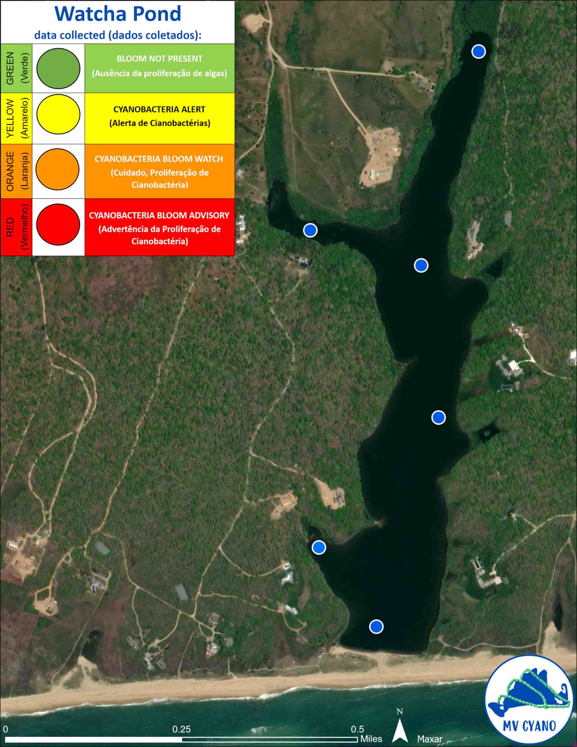 Great Pond Foundation » MV CYANO