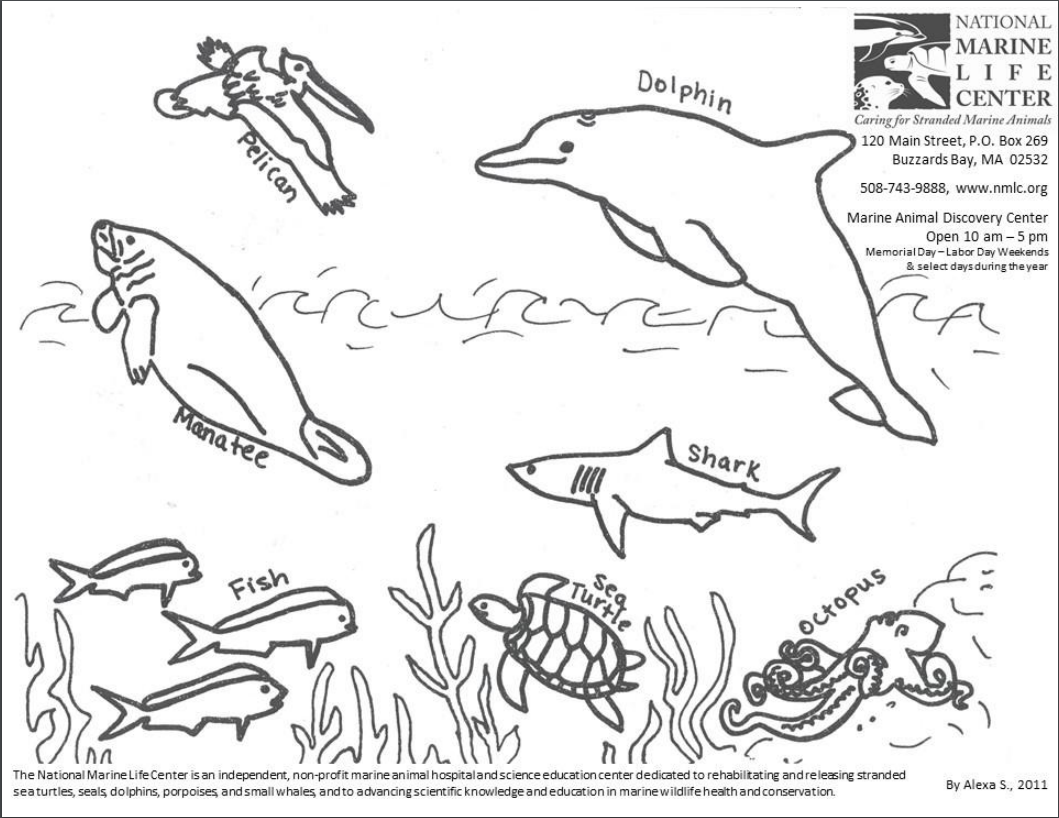 Great Pond Foundation » Educational Resources for Distance Learning