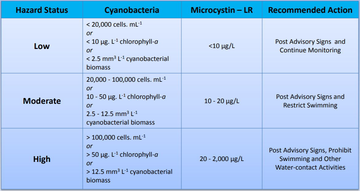 Great Pond Foundation » Cyanotoxins & Human Health